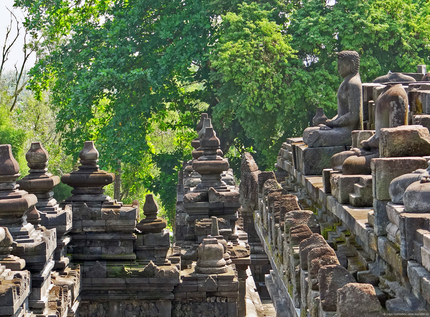 Остров Ява фото (Индонезия) - 28 фотографий высокого качества ...